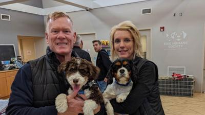 Erie Humane Society Director Joe Lang to Step Down in July | News ...