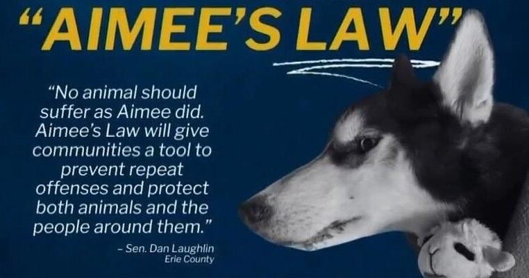 Aimee’s Law Bill Number Pushing for an Animal Abuse Registry | News ...