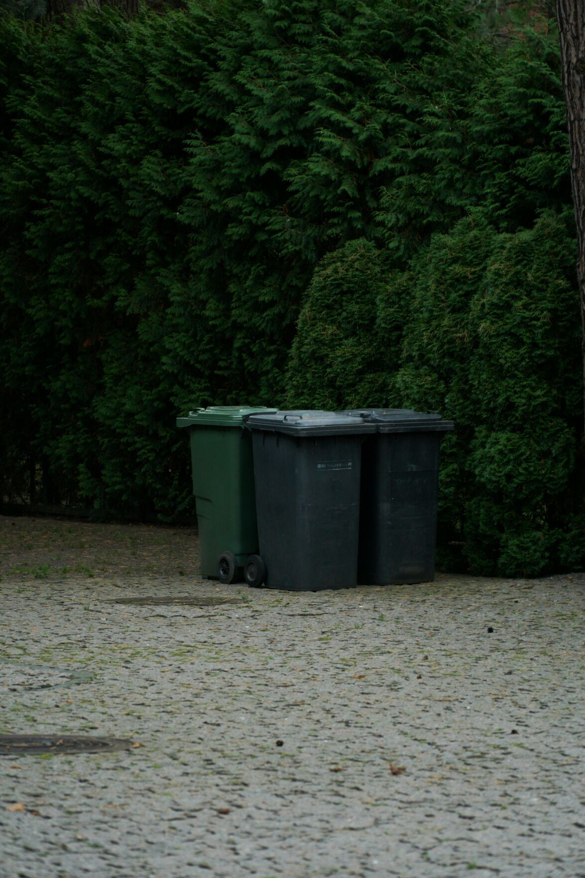 City of Erie Reschedules Trash Pickup due to Weather | News ...