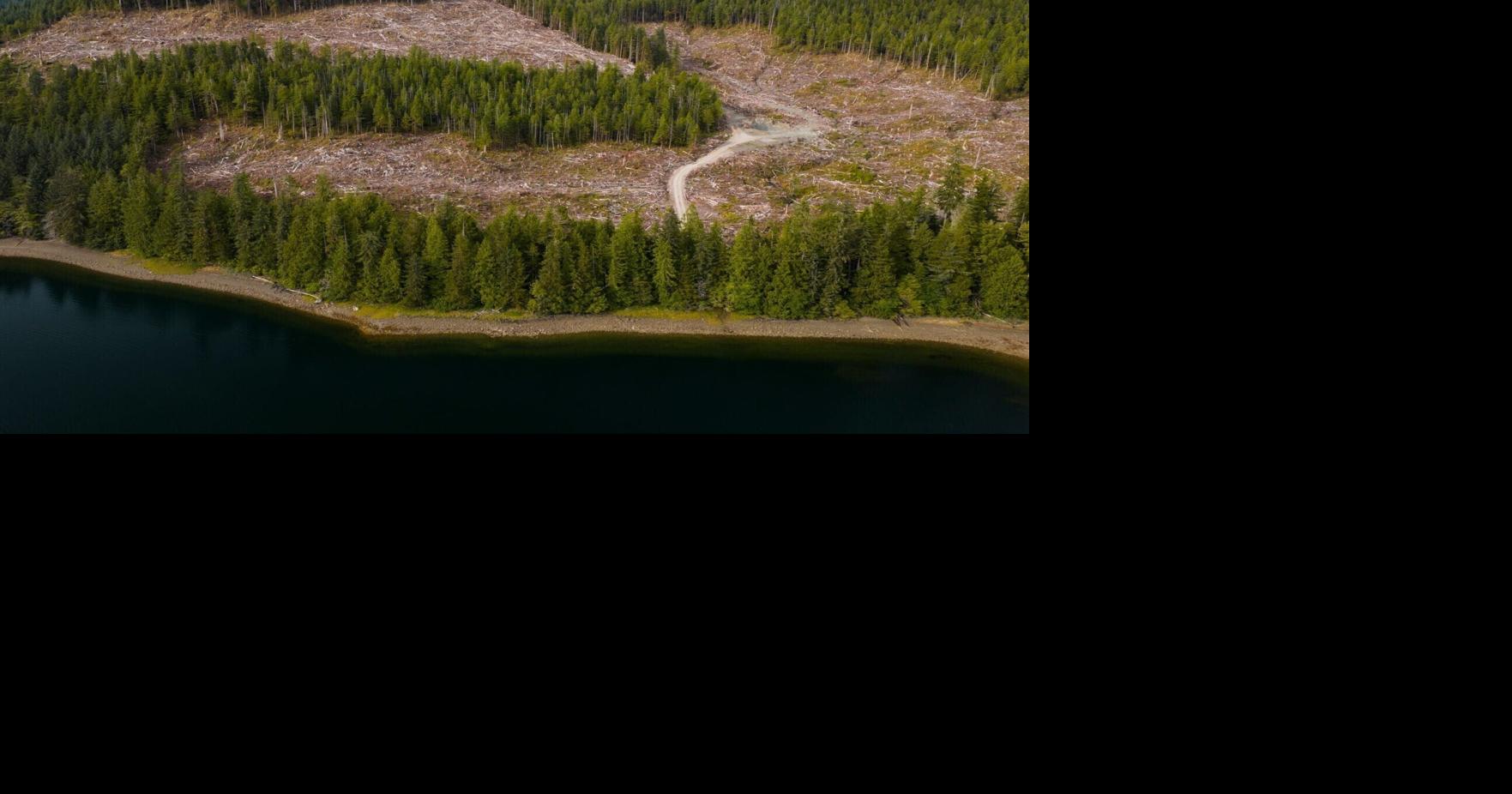 USDA Forest Service Moves to Open 1,600+ Acres of Alaska’s Tongass to ...