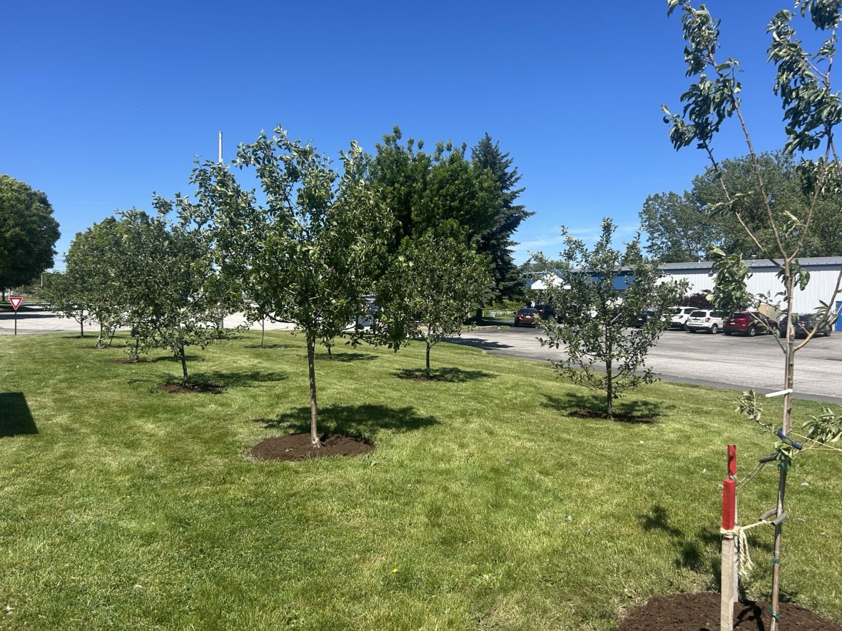 Second Harvest Food Bank Adds New Trees to Orchards | Local News ...
