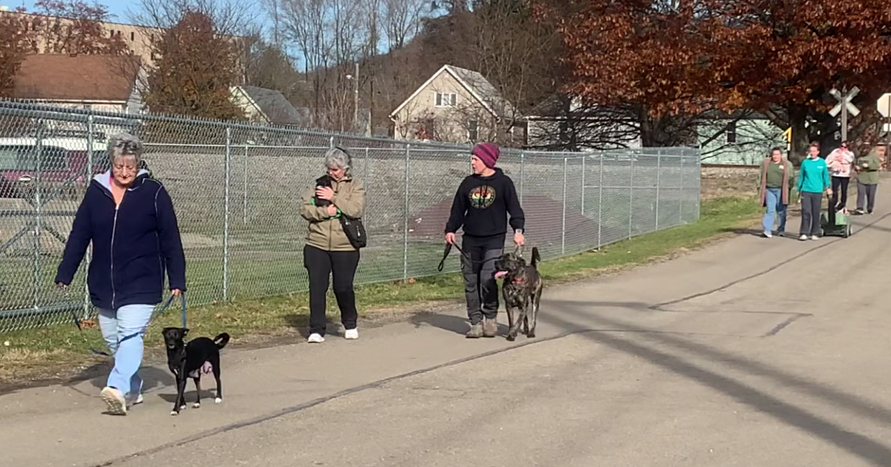 Community Dog Walk Brings Support to Humane Society in Warre | News ...
