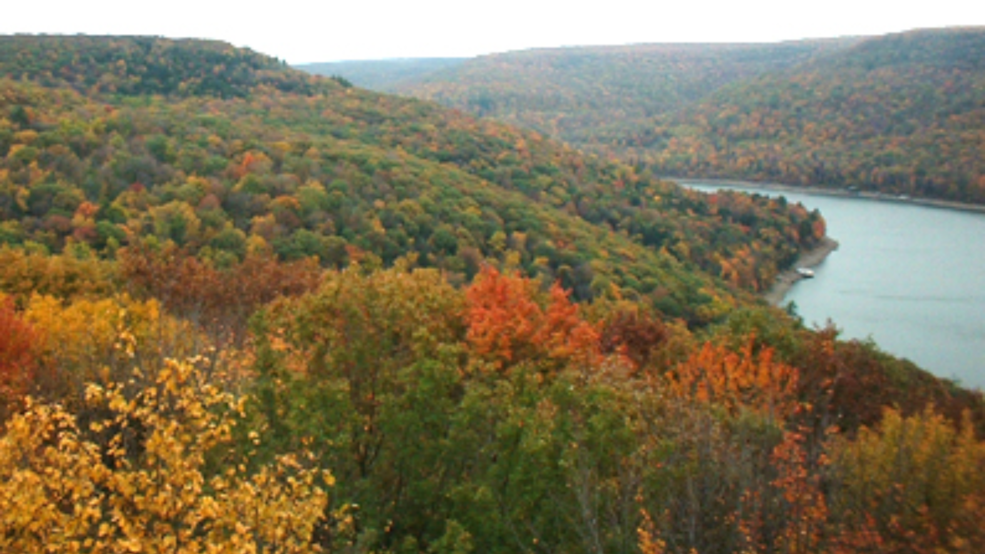 Warren Forest Service to Elevate Allegheny National Forest | News ...