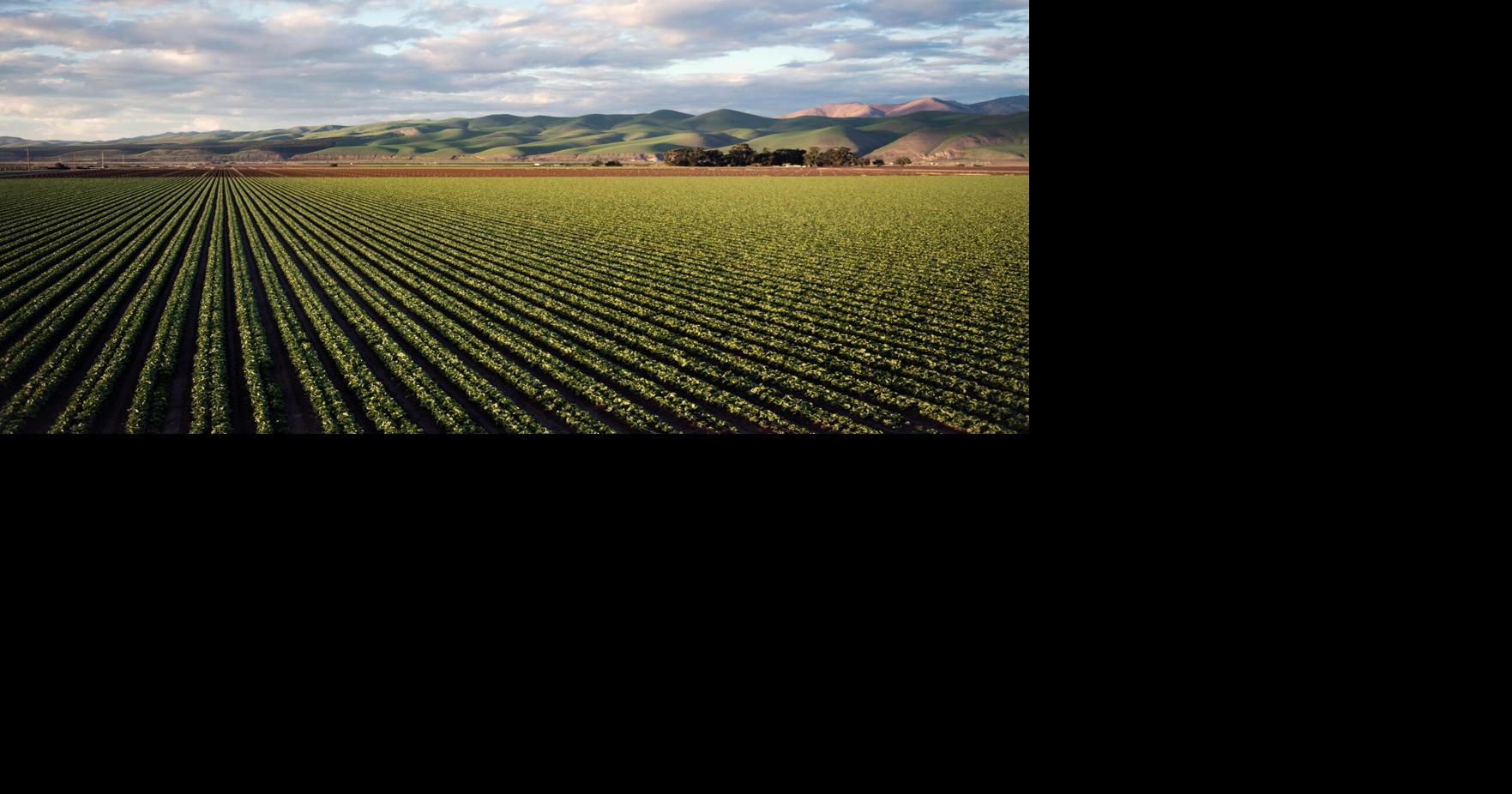 Two Erie County Projects Receive 2026 Ag and Youth Grants | News ...