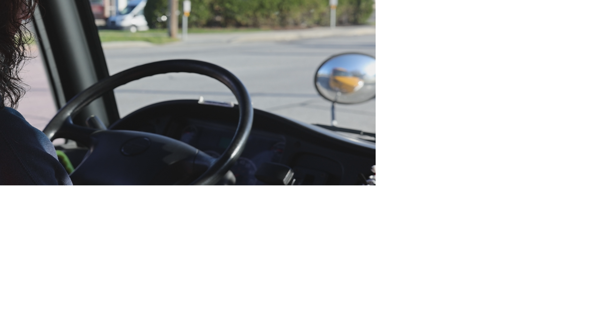 Erie Bus Driver Loses Job After Stopping to Save Opossums | News ...