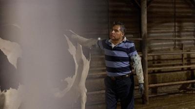 ‘They want to keep denying us our rights’: Workers in the dairy ...