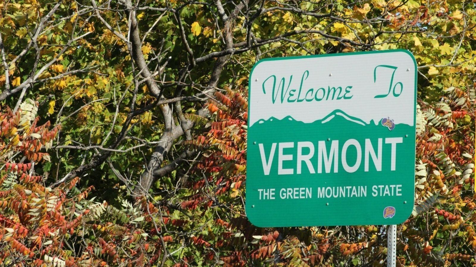 Vermont Shows Why Small-Farm Visits Are Trending This Summer In The U.S ...