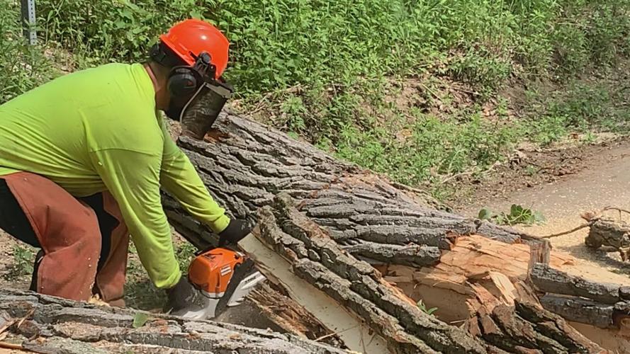 Presque Isle, Tom Ridge Environmental Center, and Waldameer Closed ...