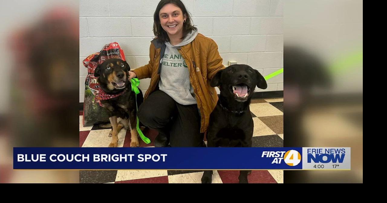 Blue Couch Bright Spot: Prison Dog Program | First at 4 | erienewsnow.com