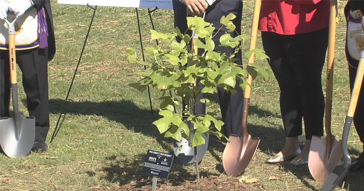 "Liberty Tree" Planted in Erie Ahead of 250th Anniversary of United ...