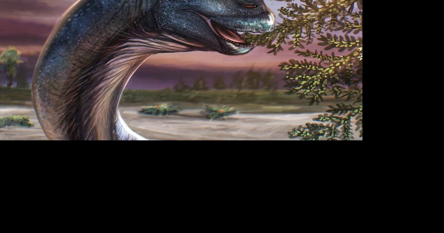 Newly identified long-necked dino weighed same as 9 elephants ...