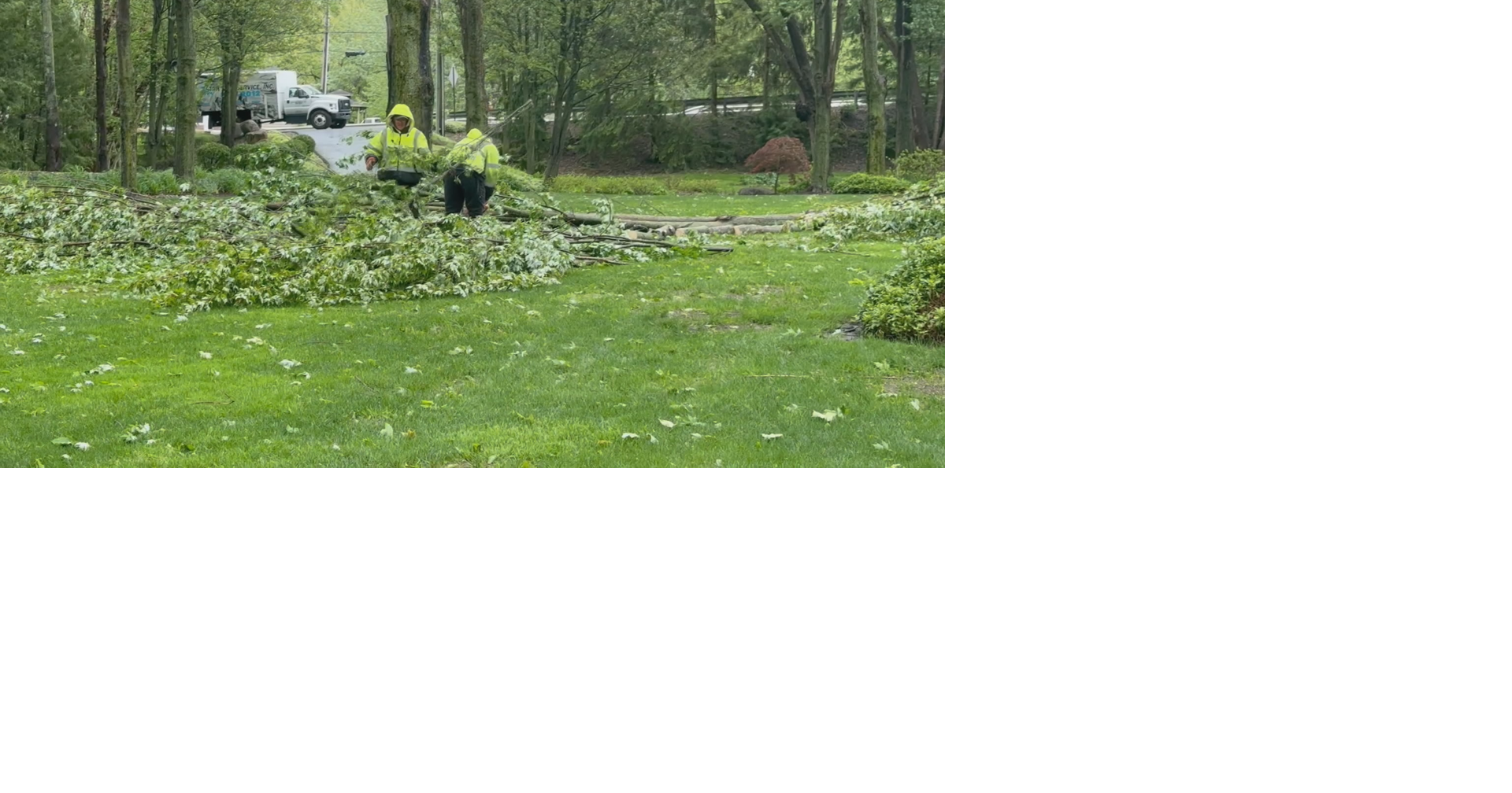 Multiple Fallen Trees Hit Local Neighborhoods | News | erienewsnow.com