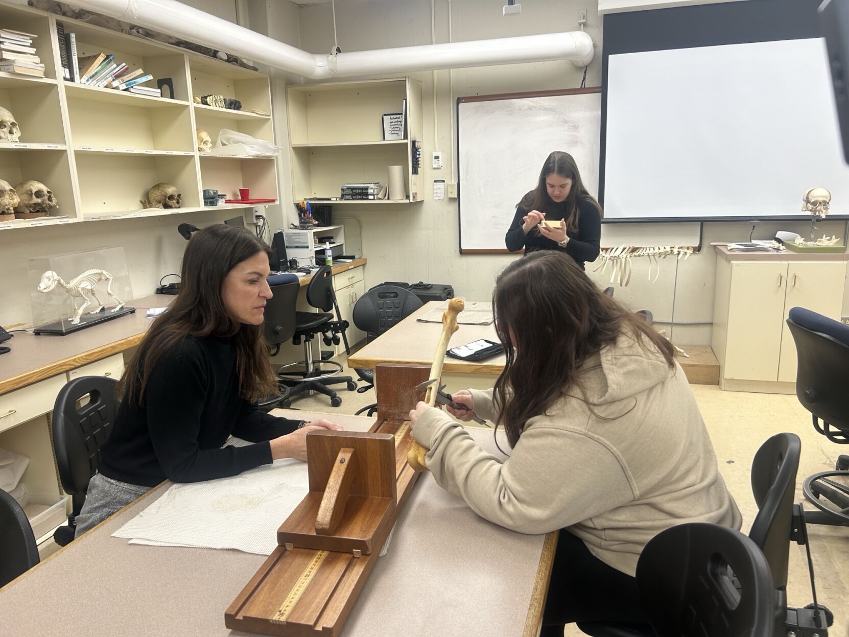 Mercyhurst University Forensics Departments Aids in Case | Local News ...