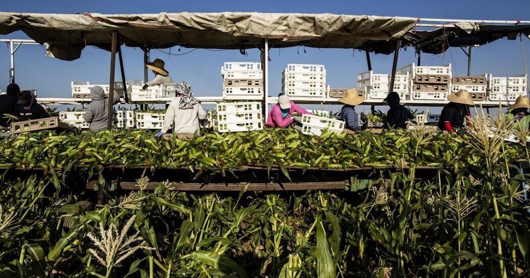In deep-red Idaho, even Republicans break with Trump on farm labor ...