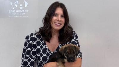 Erie Humane Society Names Interim Executive Director | News ...
