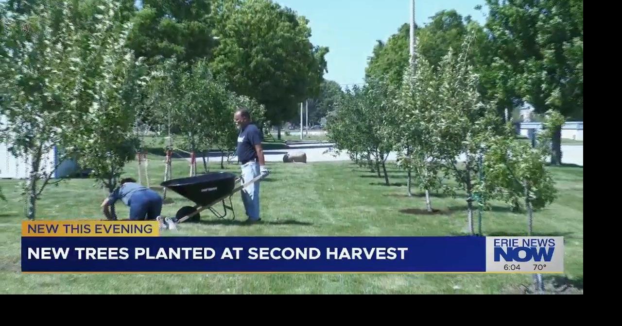 Second Harvest Planting Trees | Latest Video | erienewsnow.com