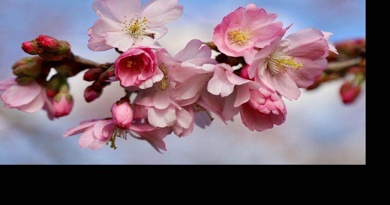 Erwin First Christian to hold community meal on April 24 | Living ...