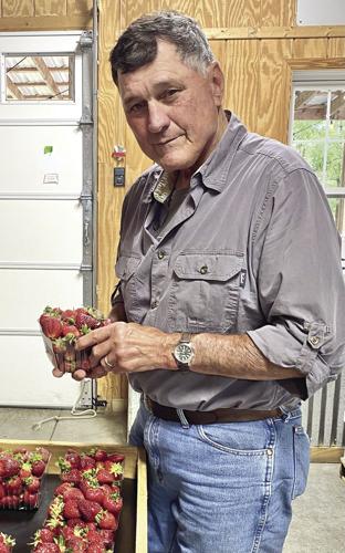 Berries at Scott's Farms ripen in time for annual festival | News ...