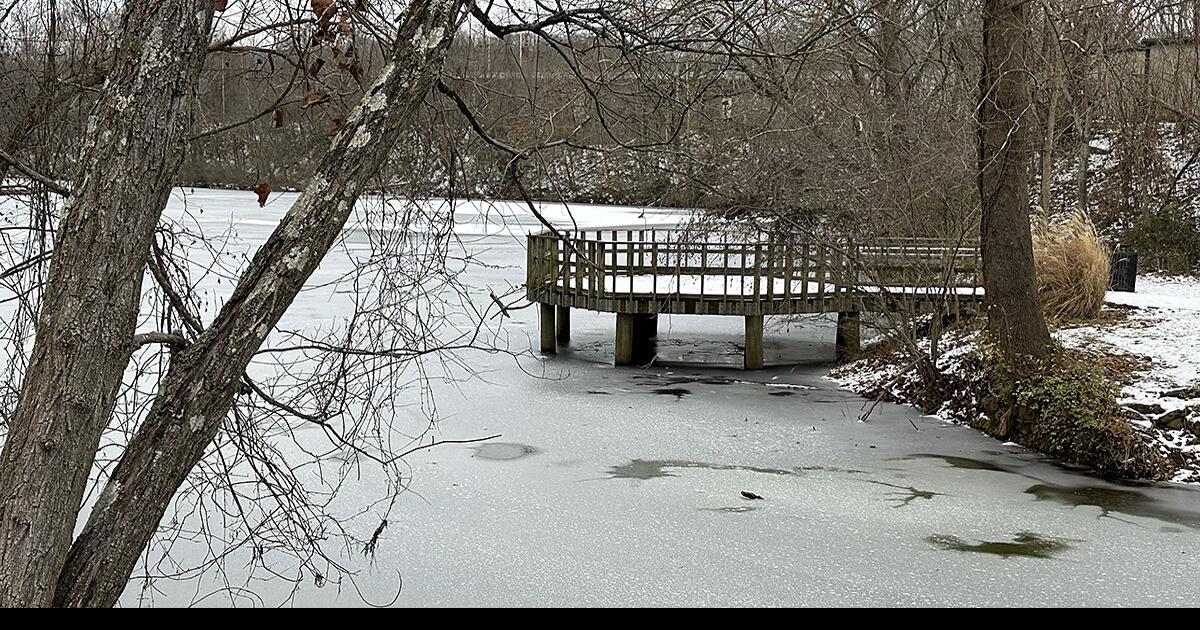Cold snap produces plenty of ice | Living | erwinrecord.net