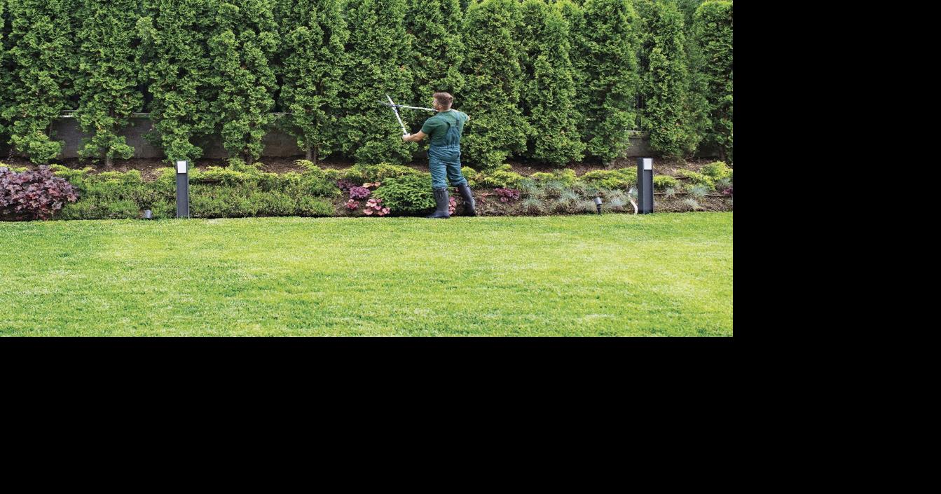 UT Extension to offer series on home lanscaping | Living | erwinrecord.net