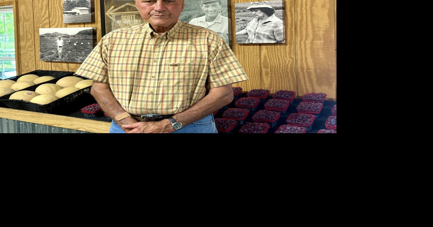 Scott’s Farm expects strong tomato yield despite storm | News ...