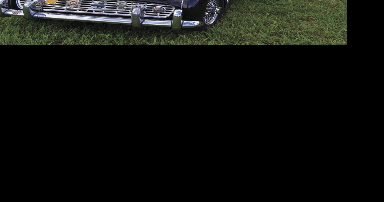 Big Dog Car Show helps raise funds for shelter | Living | erwinrecord.net