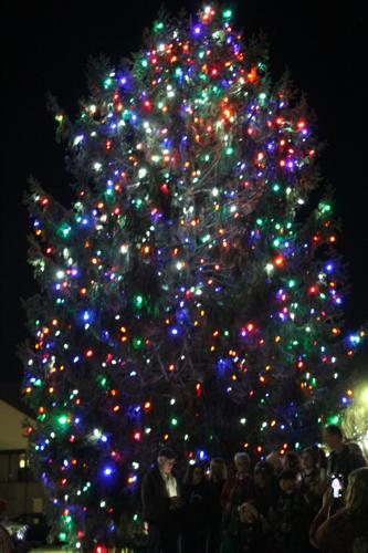 Erwin Christmas Tree Lighting celebrates 20th year. | News ...