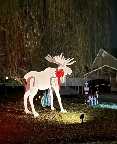Christmas moose back for another season | Digital Media | erwinrecord.net