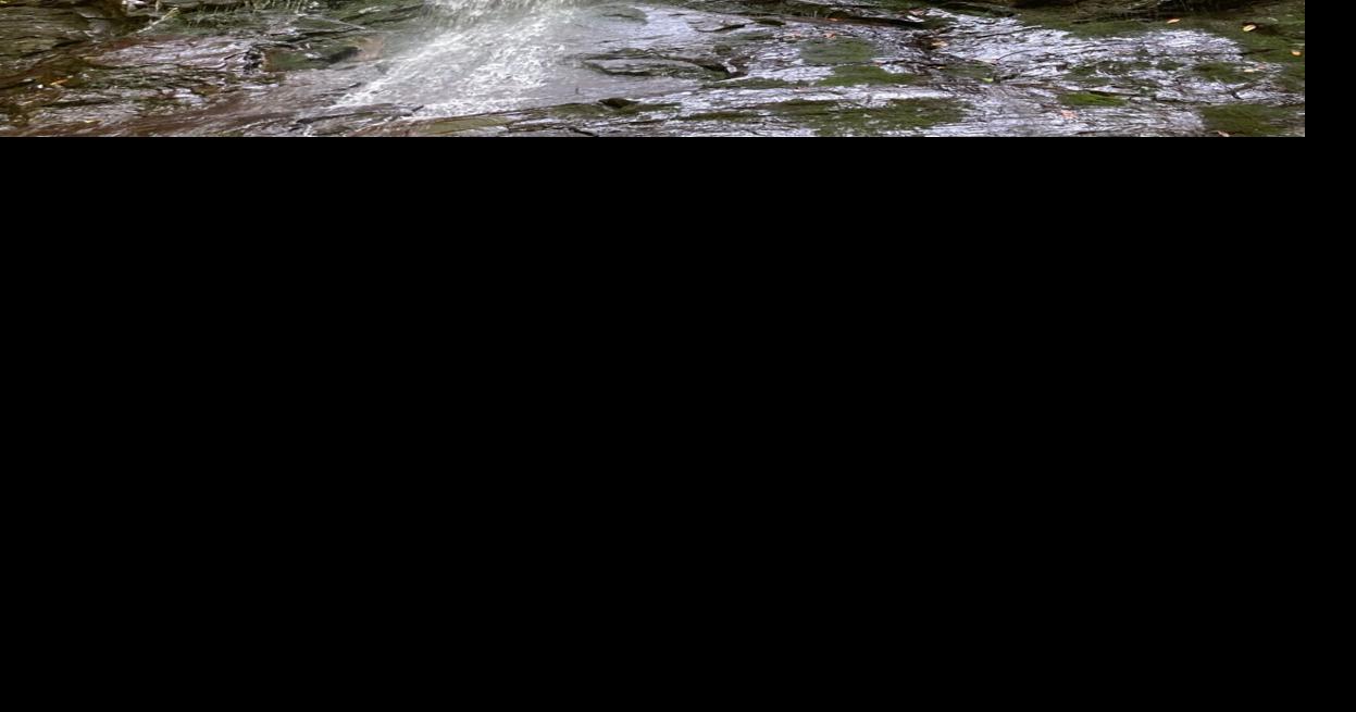 Take a short walk to Sill Branch Falls | Living | erwinrecord.net