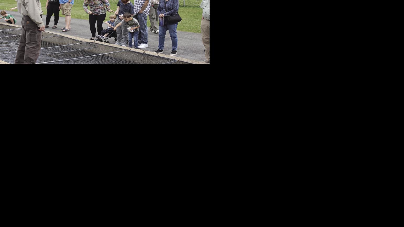 Deputies discover meth lab | Local News | erwinrecord.net