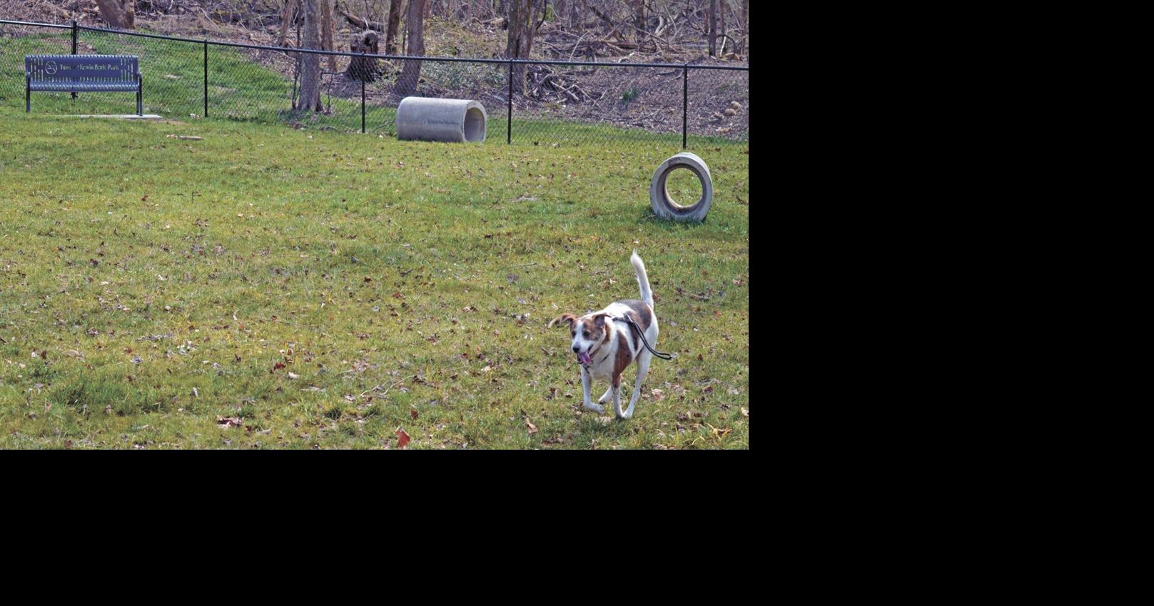 New dog park opens in Erwin | Local News | erwinrecord.net