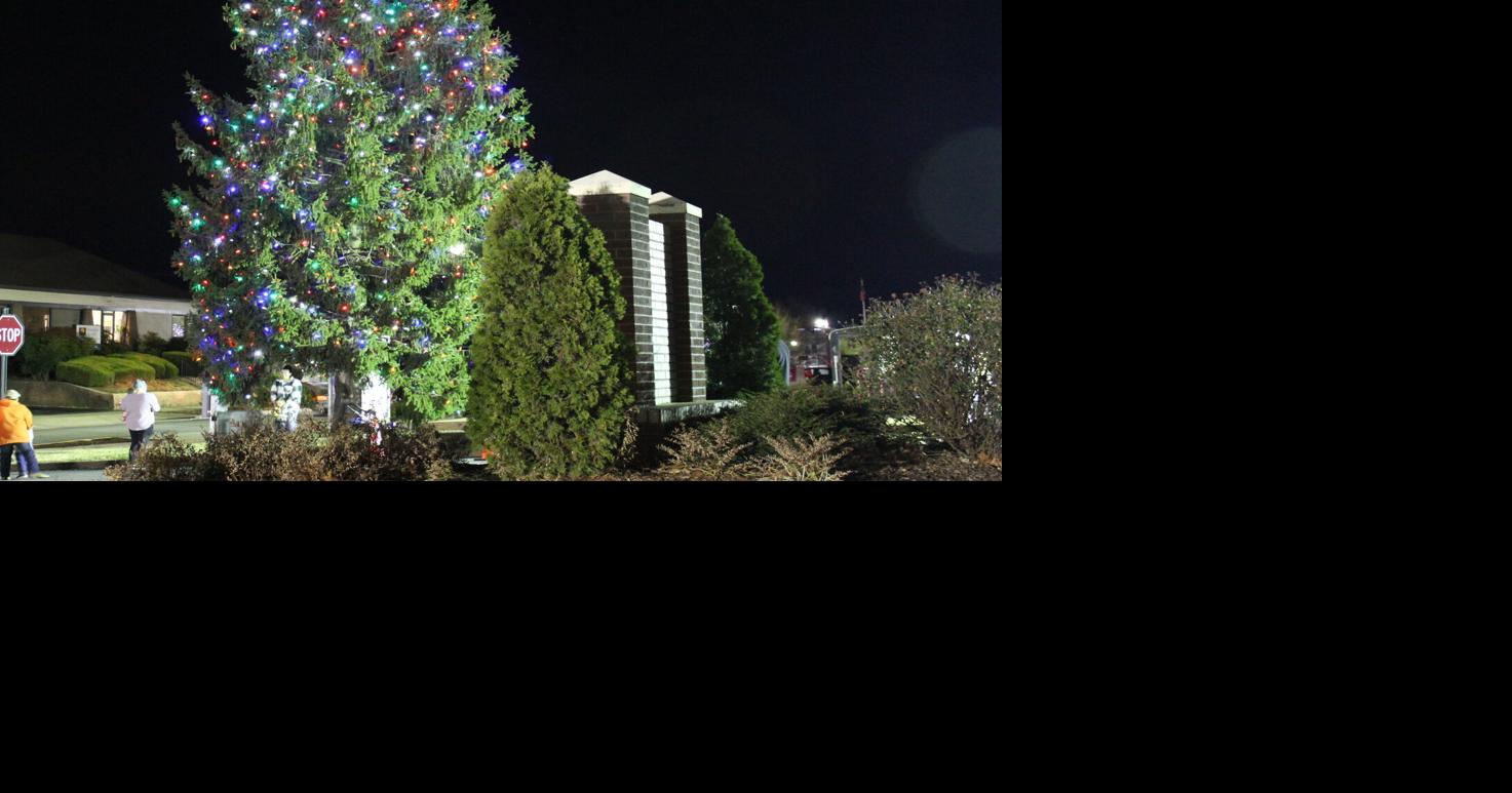 Erwin Christmas Tree Lighting celebrates 20th year. | News ...