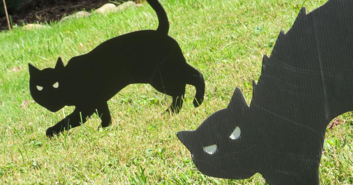 Erwin plans Halloween on Nolichucky on Oct. 31 | Living | erwinrecord.net