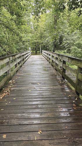 Healthy outdoor opportunities abound in Unicoi County | Living ...