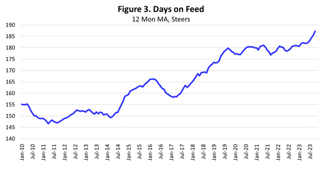 Feedlot trends in management and productivity | News | farmtalknews.com