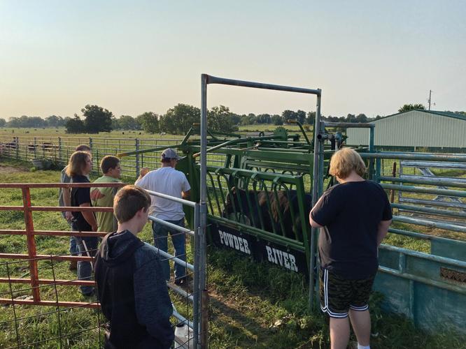 Cassville’s Wild C farm project lets kids learn differently | News ...