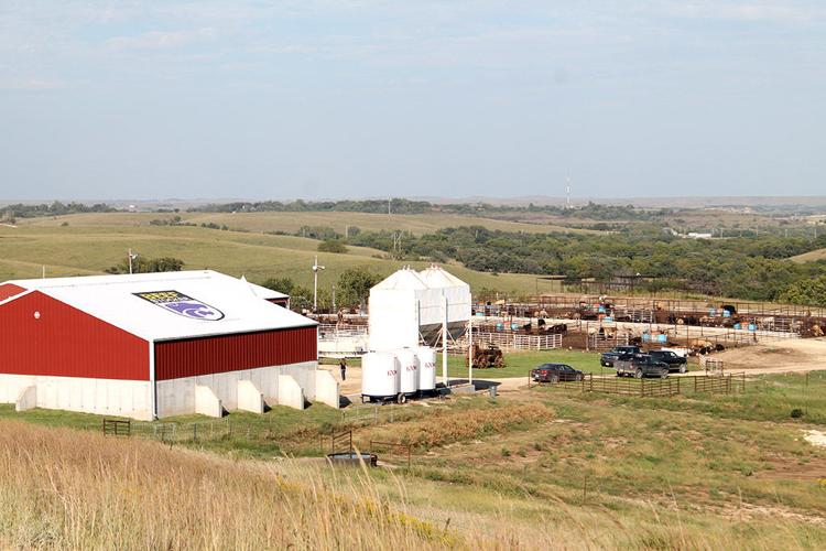 'Interesting times' ahead for beef markets | News | farmtalknews.com