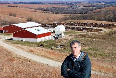 DDGs can help stretch stocker forage supply | News | farmtalknews.com