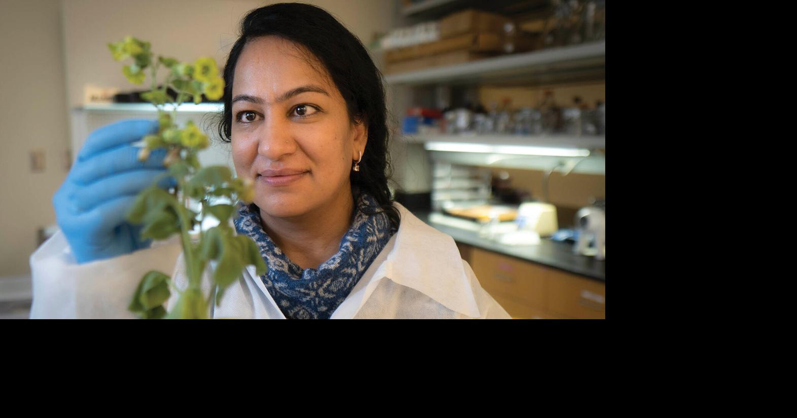 OSU institute receives $1M grant to streamline plant disease testing ...