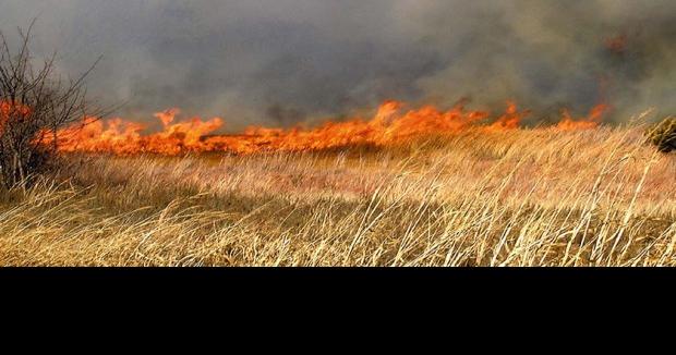 CRP prescribed burn guidelines | Crops | farmtalknews.com