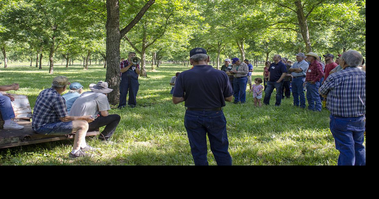 Final field day draws sizable crowd | News | farmtalknews.com