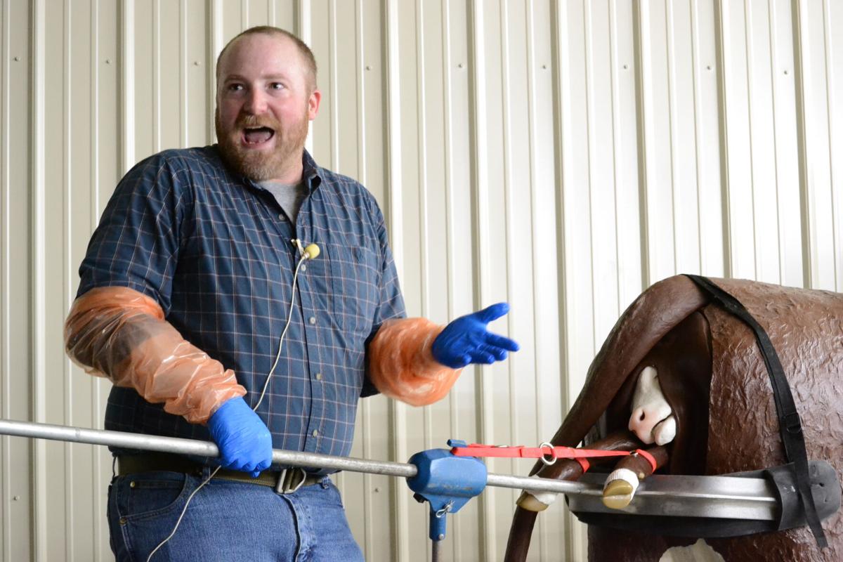 Assisted Calving: What producers need to know | News | farmtalknews.com