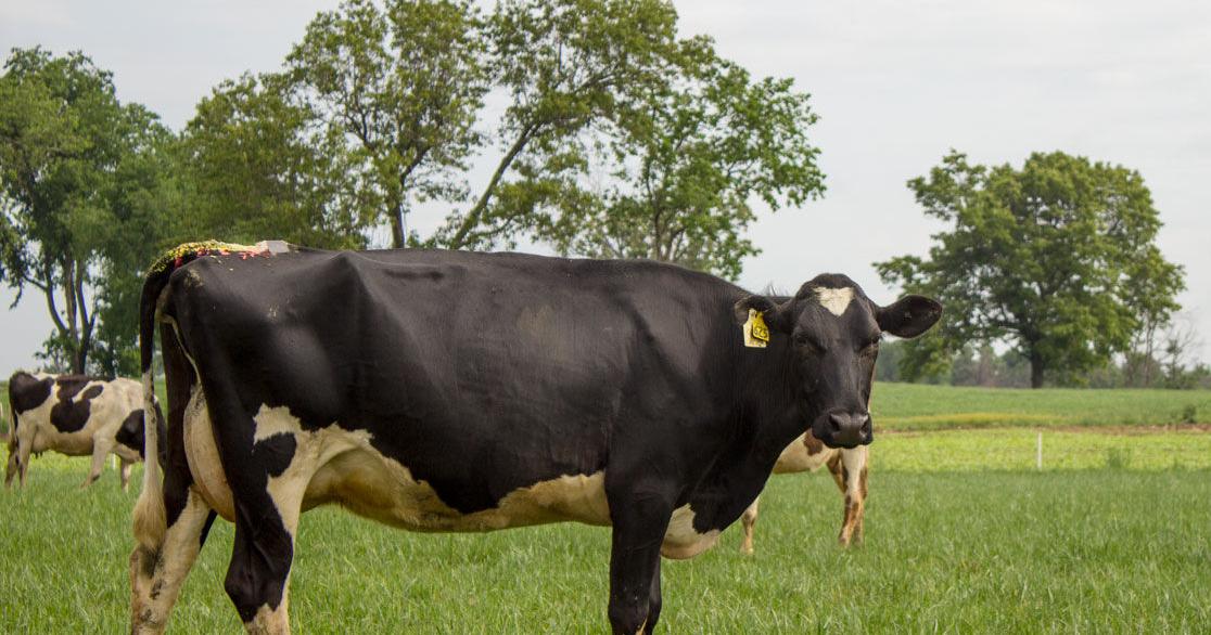 USDA accepting applications for expanded Emergency Livestock Assistance ...