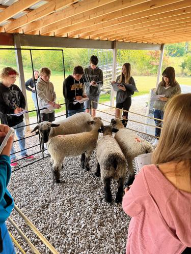 Cassville’s Wild C farm project lets kids learn differently | News ...