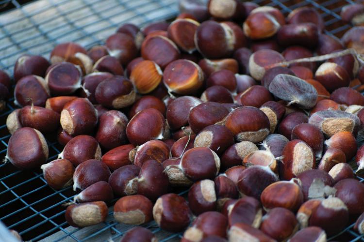 Lawrence couple works to bring chestnuts back to American culture ...