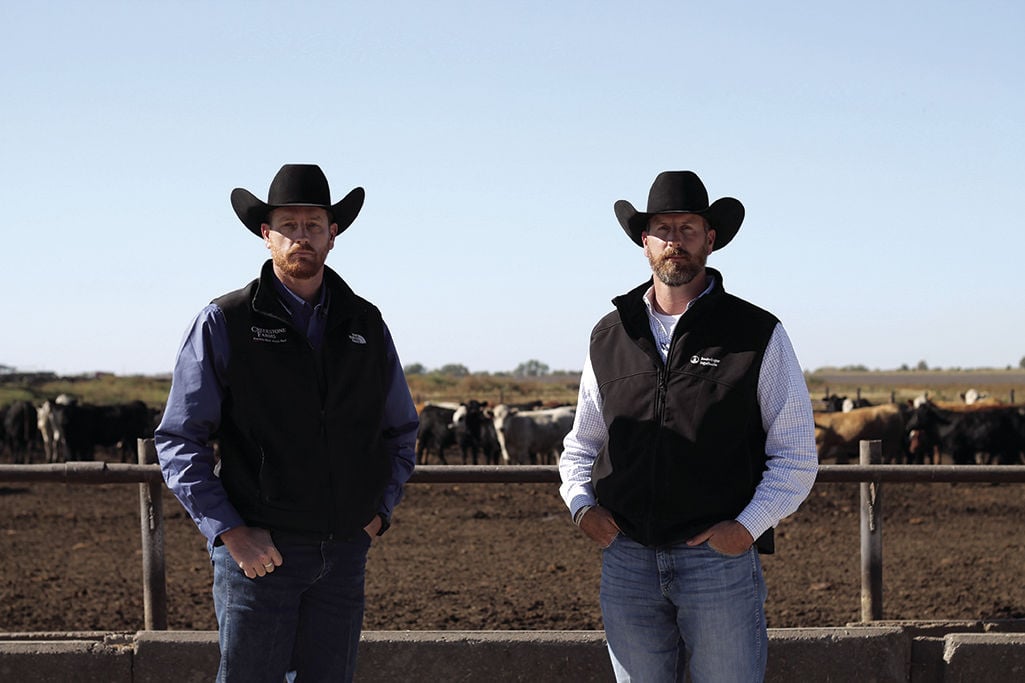Customer focused, quality driven feedlot performance | News ...