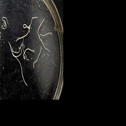 Necropsy offers insights to parasite control in small ruminants | News ...