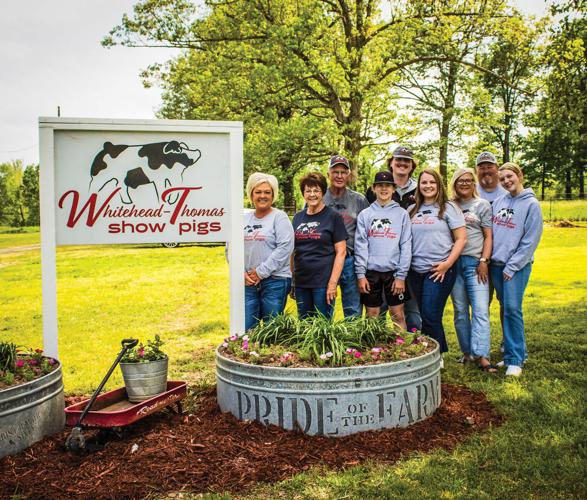 Happy pigs, handlers at Whitehead-Thomas Show Pigs | News ...