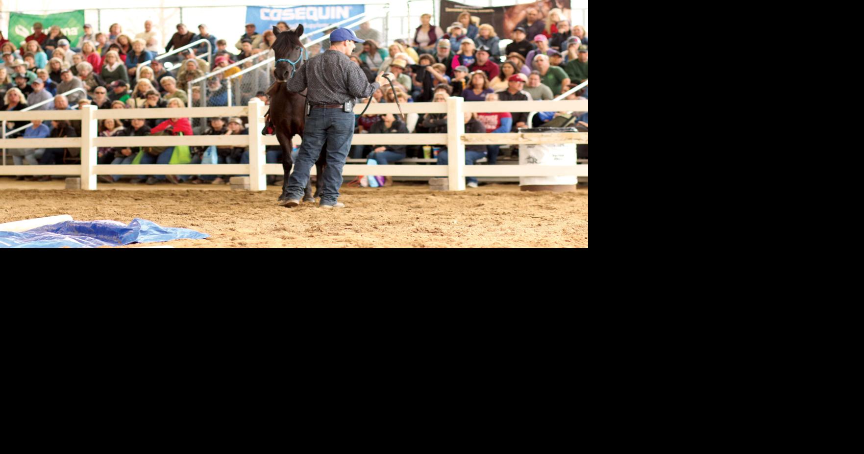 Ozark Spring Roundup to feature top national equine clinicians | News | farmtalknews.com