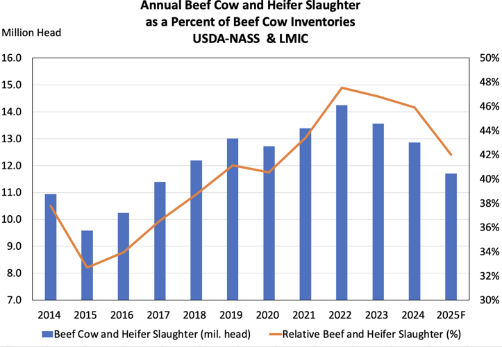 Beef cow slaughter down 19% this fall | News | farmtalknews.com
